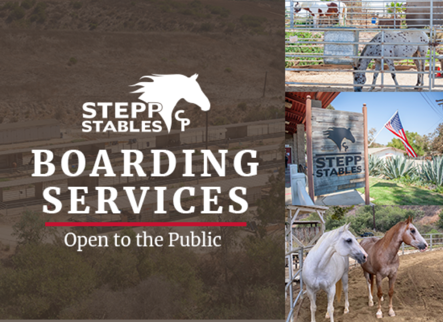 Stepp Stables: Boarding Available